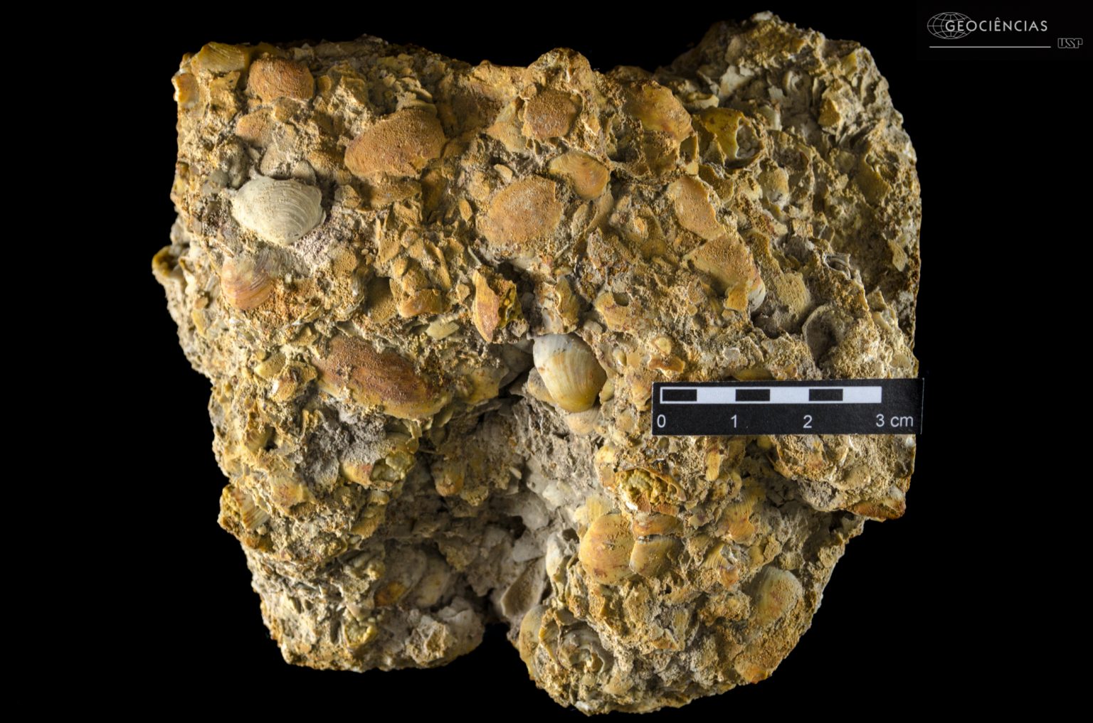 Rochas Sedimentares - Materiais Didáticos